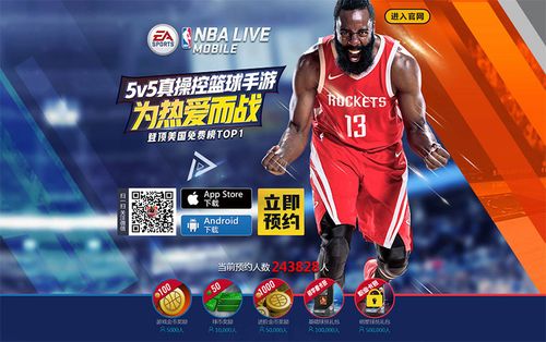 nbalive最后一代PC版图标