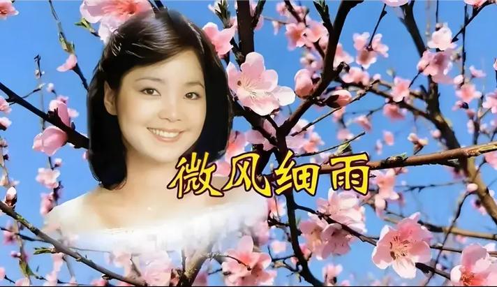 邓丽君微风细雨现场版