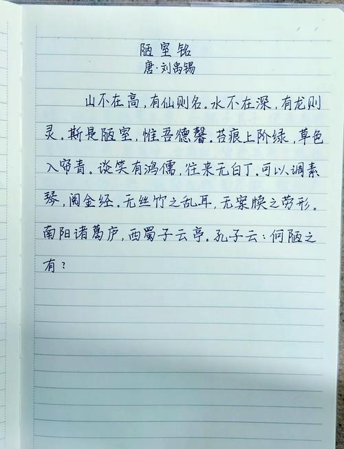 打字训练小短文截图