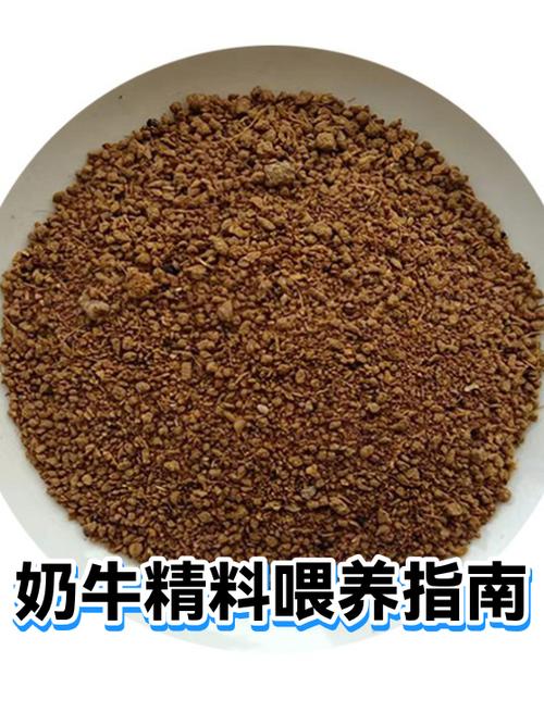 奶牛几个月可以配图标