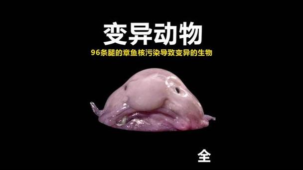 日本变异海洋生物图标