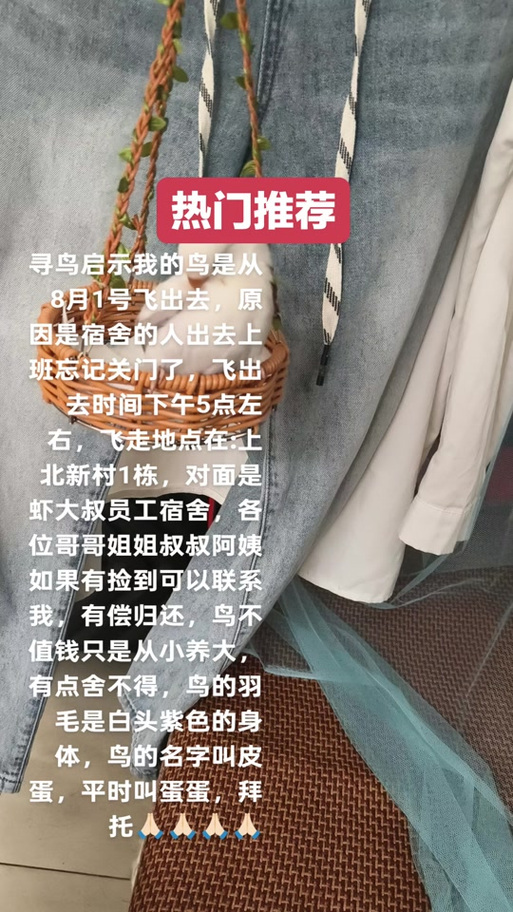 在家里藏东西找不到了怎么办图标