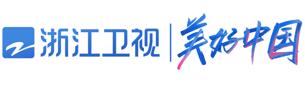 浙江卫视吧图标
