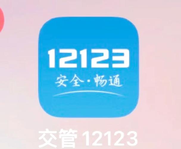 交管12123app的特色图标