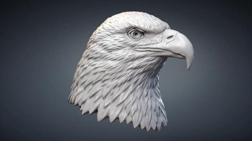 zbrush图标