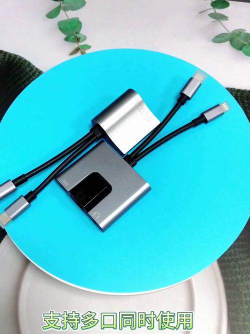 小白加速器app图标