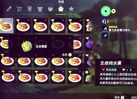 旷野之息体力怎么加图标