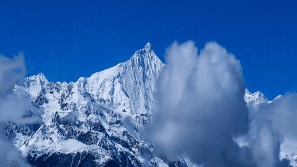 取从雪山来央金图标