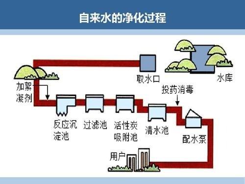 水净化的方法截图