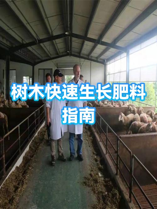 我的世界树快速生长图标