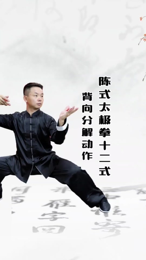 十二式简化太极拳图标