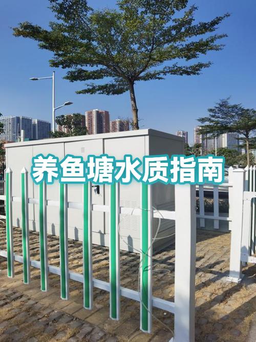 鱼塘的水质怎么快速净化图标