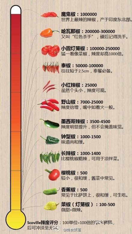 辣椒辣度图标