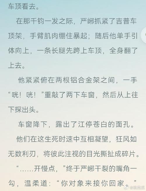 炽血沸腾217完整版小说图标