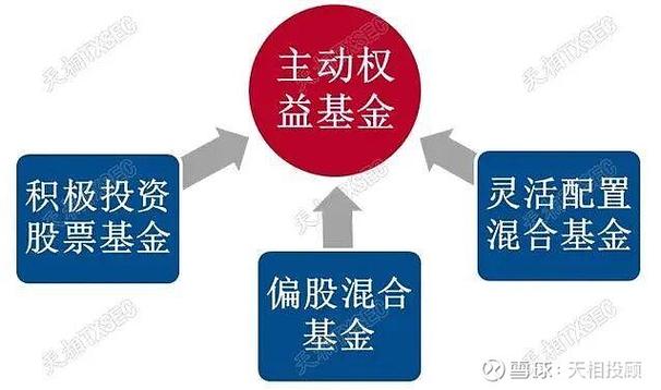 天相投顾图标
