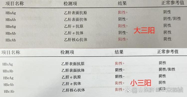 乙肝最新消息截图