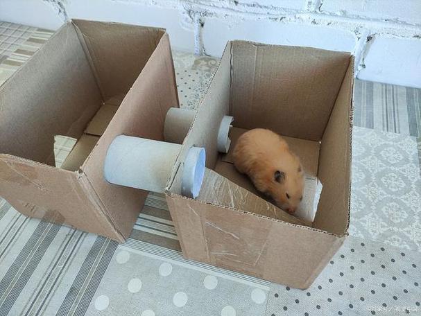 手工仓鼠窝制作图标
