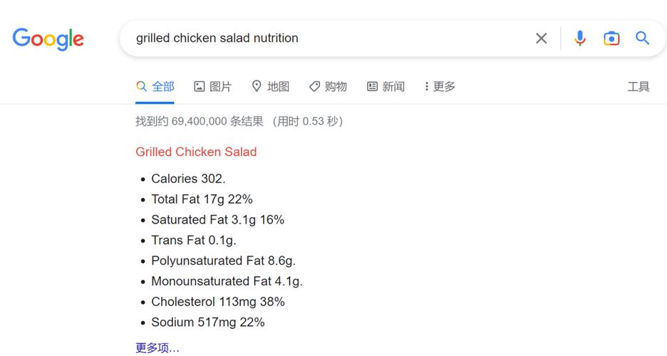 谷歌搜索指令图标