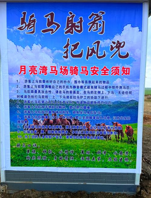 骑马摔伤由谁来承担图标