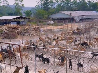 附近土狗养殖场图标