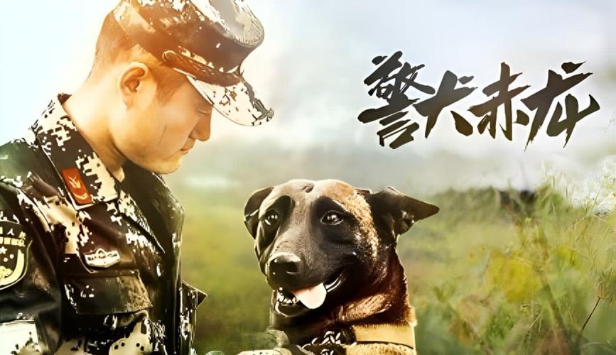 警犬赤龙富婆女儿结局
