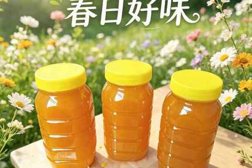 春蜜什么时候取蜜最好图标