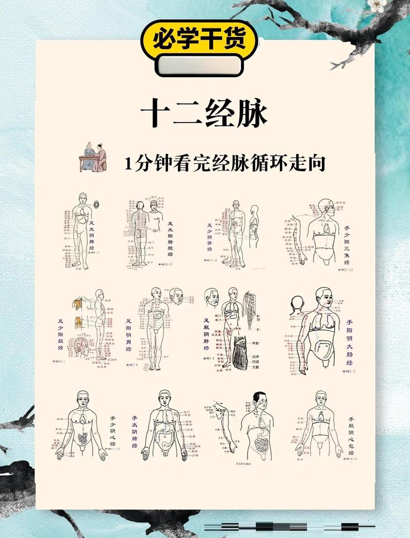 奇经八脉十二经络图图标