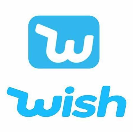 wish是什么意思图标