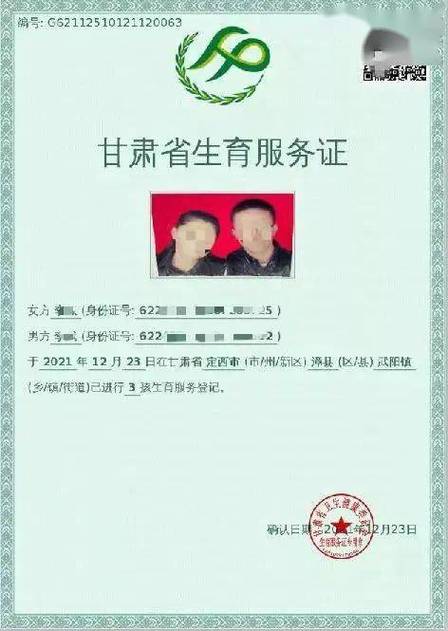 甘肃生育登记图标