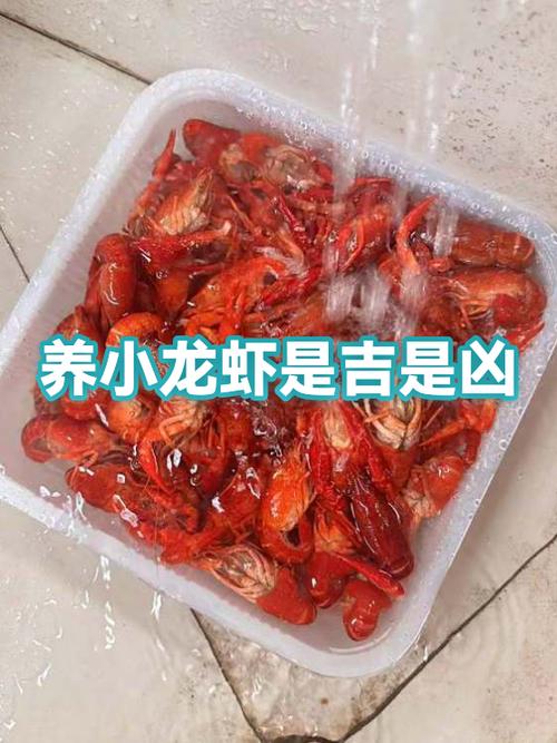 养小龙虾赚钱吗图标