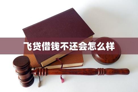 飞贷能借钱吗图标