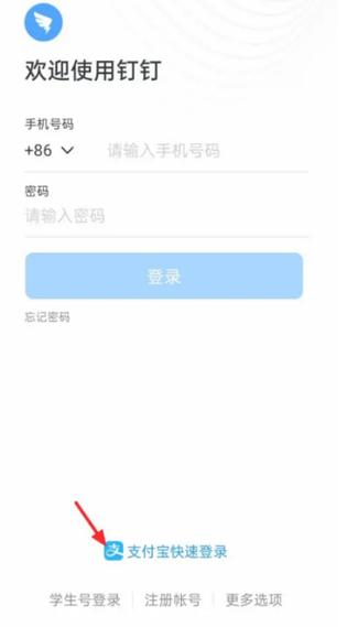 钉钉能不能不用手机号图标