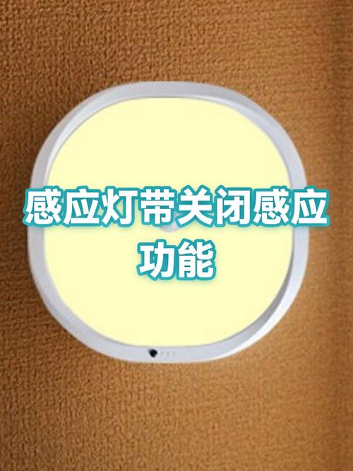自动感应灯怎么关闭图标