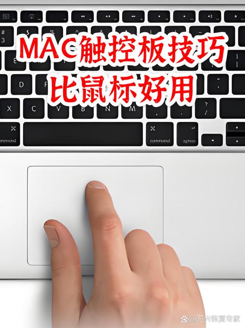 笔记本电脑触摸板和鼠标怎么切换图标