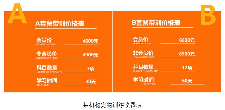 狗狗训练学校费用图标