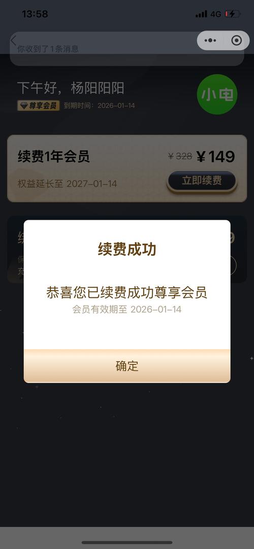 久污VIP续费截图