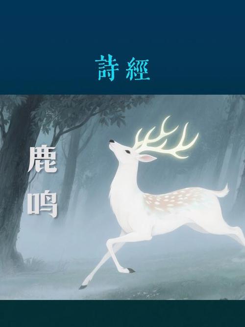 鹿鸣英语app官网下载图标