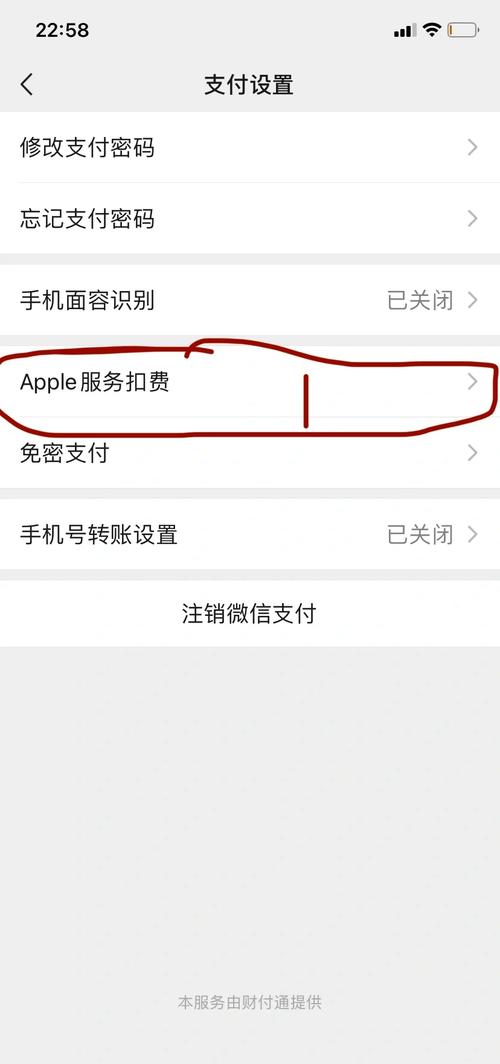 苹果支付扣款在哪里查询截图