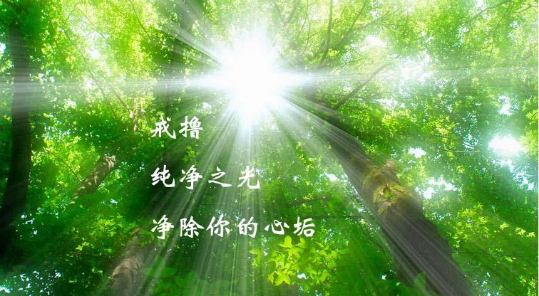 被送到戒网瘾学校怎么办图标