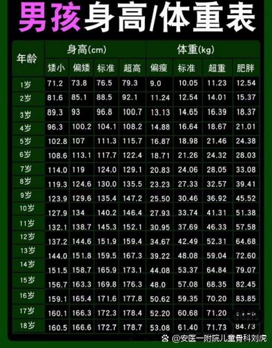 儿童身高体重表最新图标