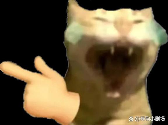 猫meme搞笑视频大全图标