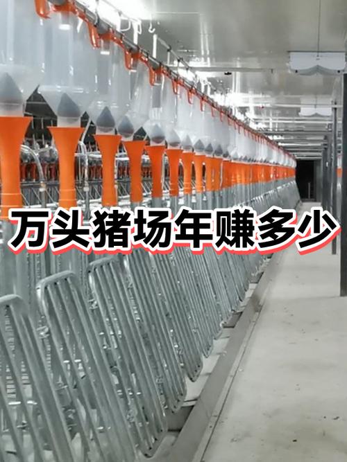 养猪多少头一年赚20万图标