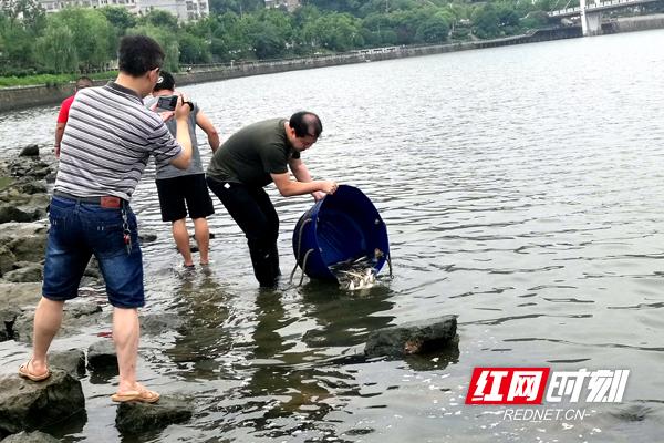 醴陵鱼苗批发地址图标