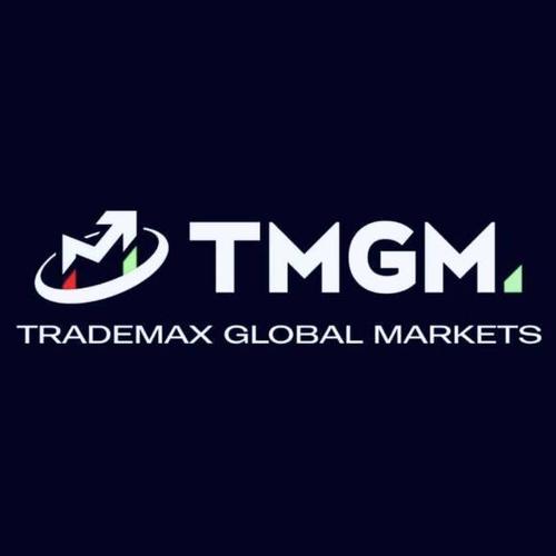 gmtm外汇平台截图