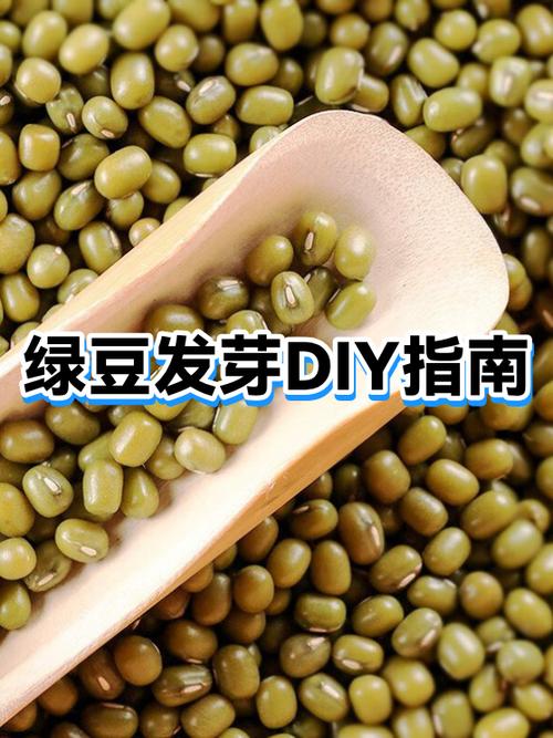 自己发豆芽要注意什么图标