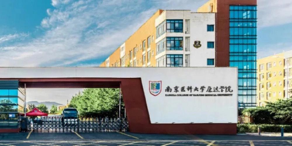 网上办事大厅南医大图标