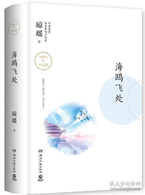 海鸥飞处小说图标