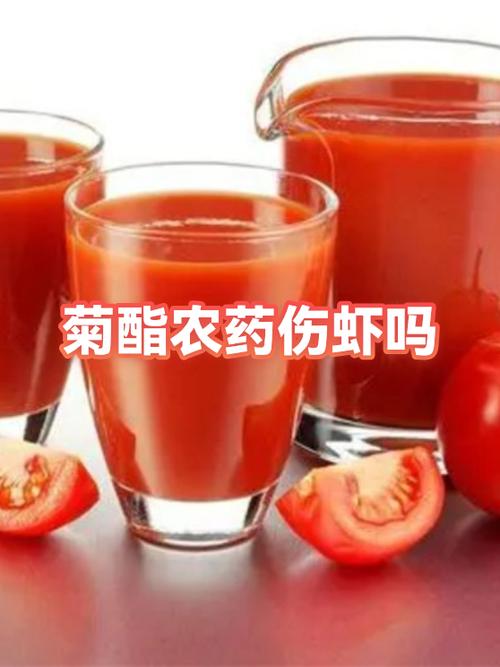 菊酯抓的虾能吃吗