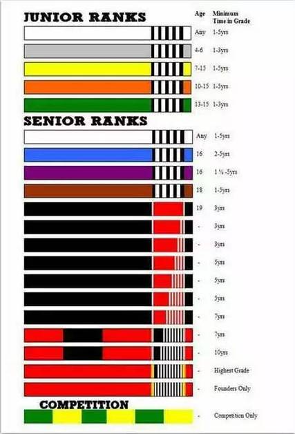 柔道分什么等级图标