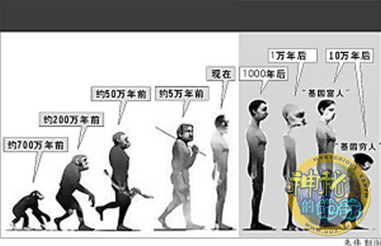 人类进化rpg图标